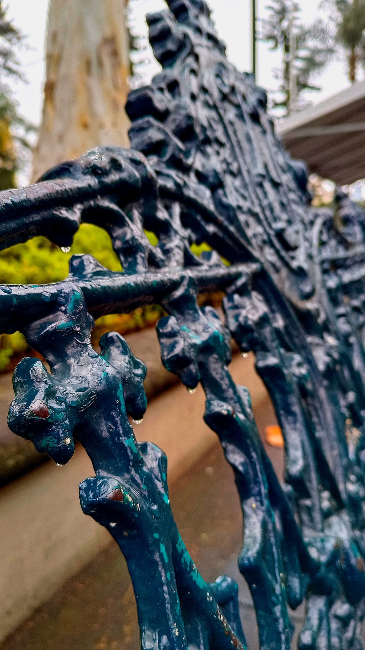 Xalapa y su famoso chipi chipi, conoces el origen de esta palabra? - El ...