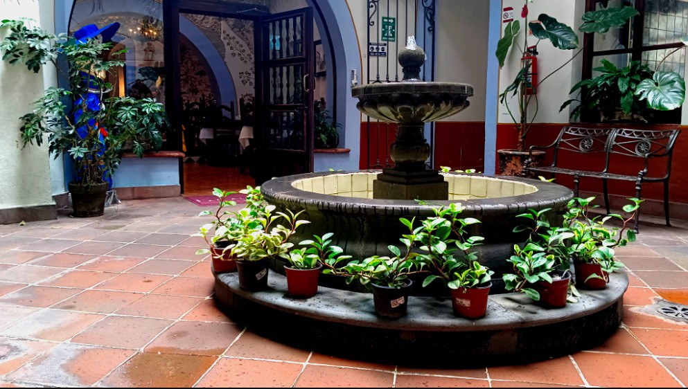 Las fuentes de Xalapa. - El Estridente
